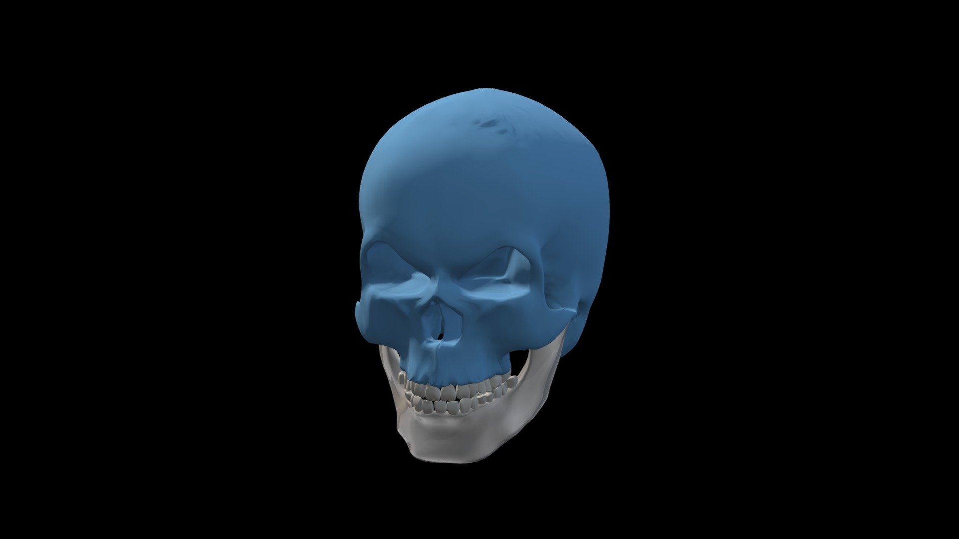 craneo humano - 3D model by Josb (@jsaltos962) [8cba2f8] - Sketchfab