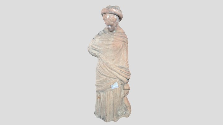 Chiton 3D models - Sketchfab