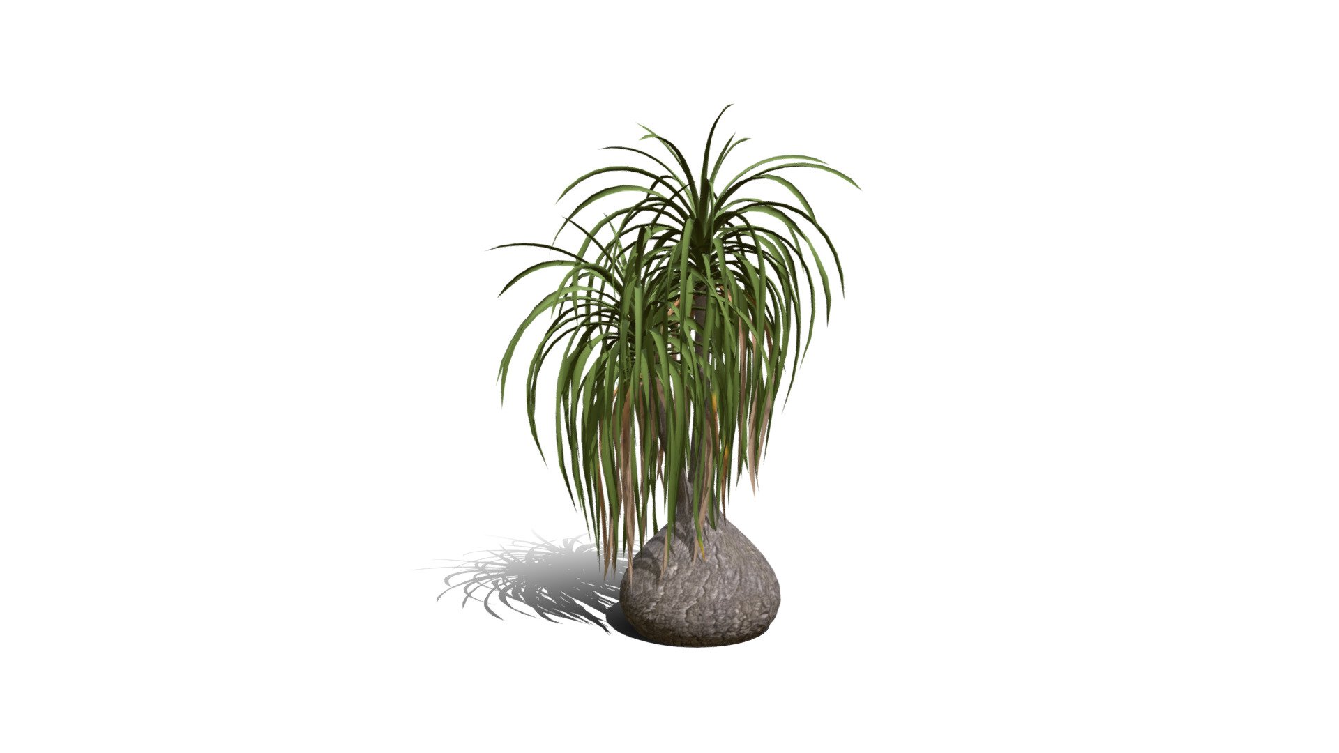 Realistic HD Elephant Foot (36/40) - Download Free 3D model by ...