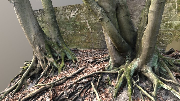 CrowsEpicScans - Sketchfab