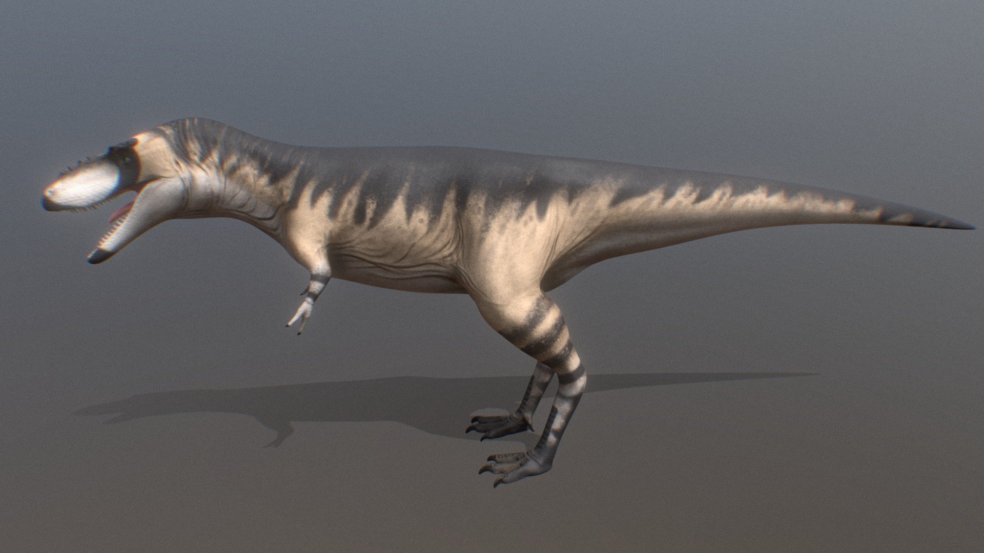 Alioramus - 3D model by cafnir [8cd762b] - Sketchfab