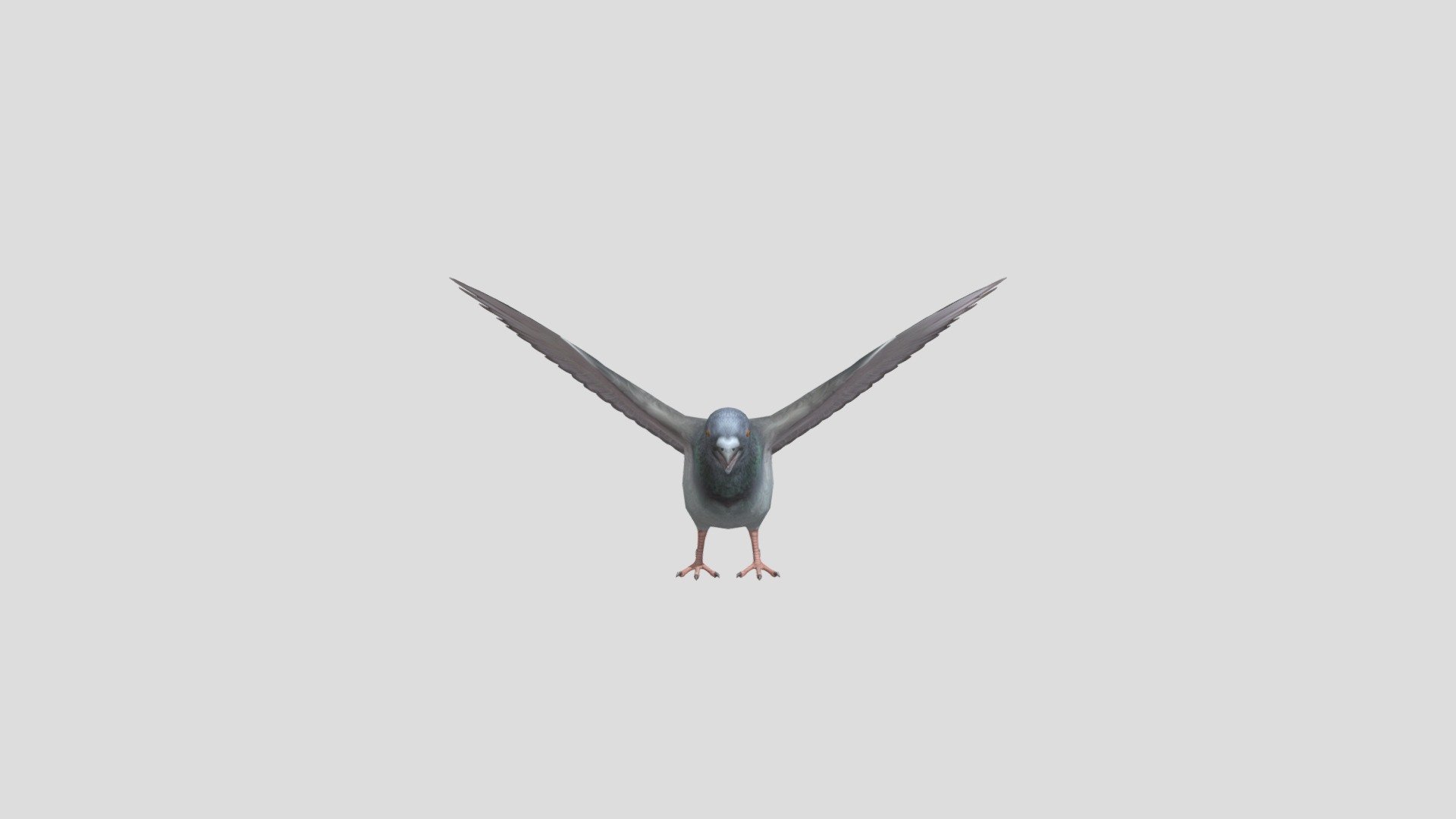Pigeon - Download Free 3D model by hendrikReyneke [8cdbd88] - Sketchfab