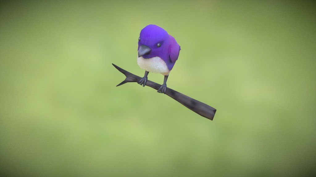 Birdie - 3D model by Sean Turner (@bongoman70) [8cf0255] - Sketchfab