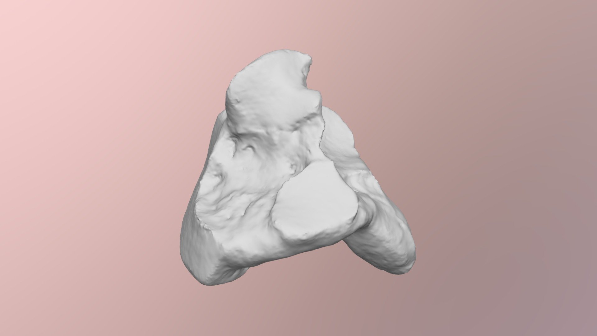 Megalonyx Right Scaphoid (VCU_3D_1521) - 3D model by Virtual Curation ...
