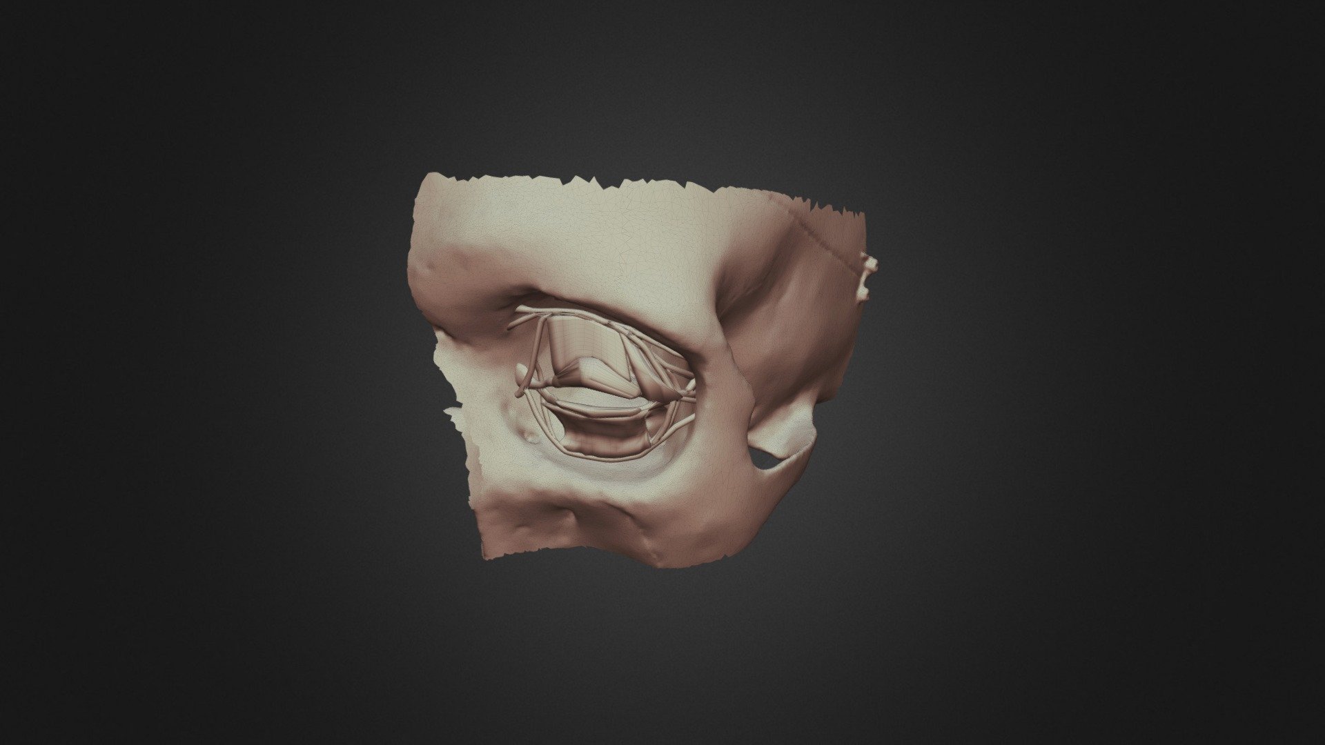 Primitive Eye V1 - 3D model by i.isabelgordon [8cf1e54] - Sketchfab