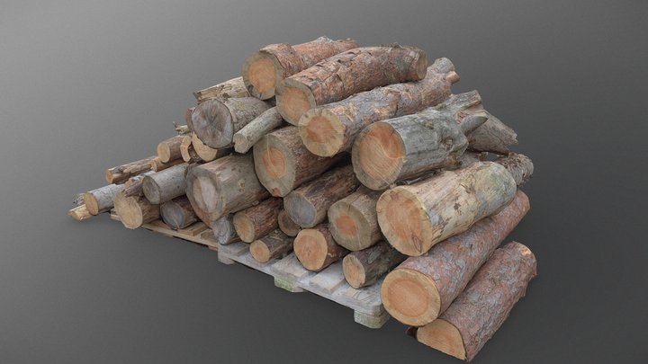 Branh 3D models - Sketchfab