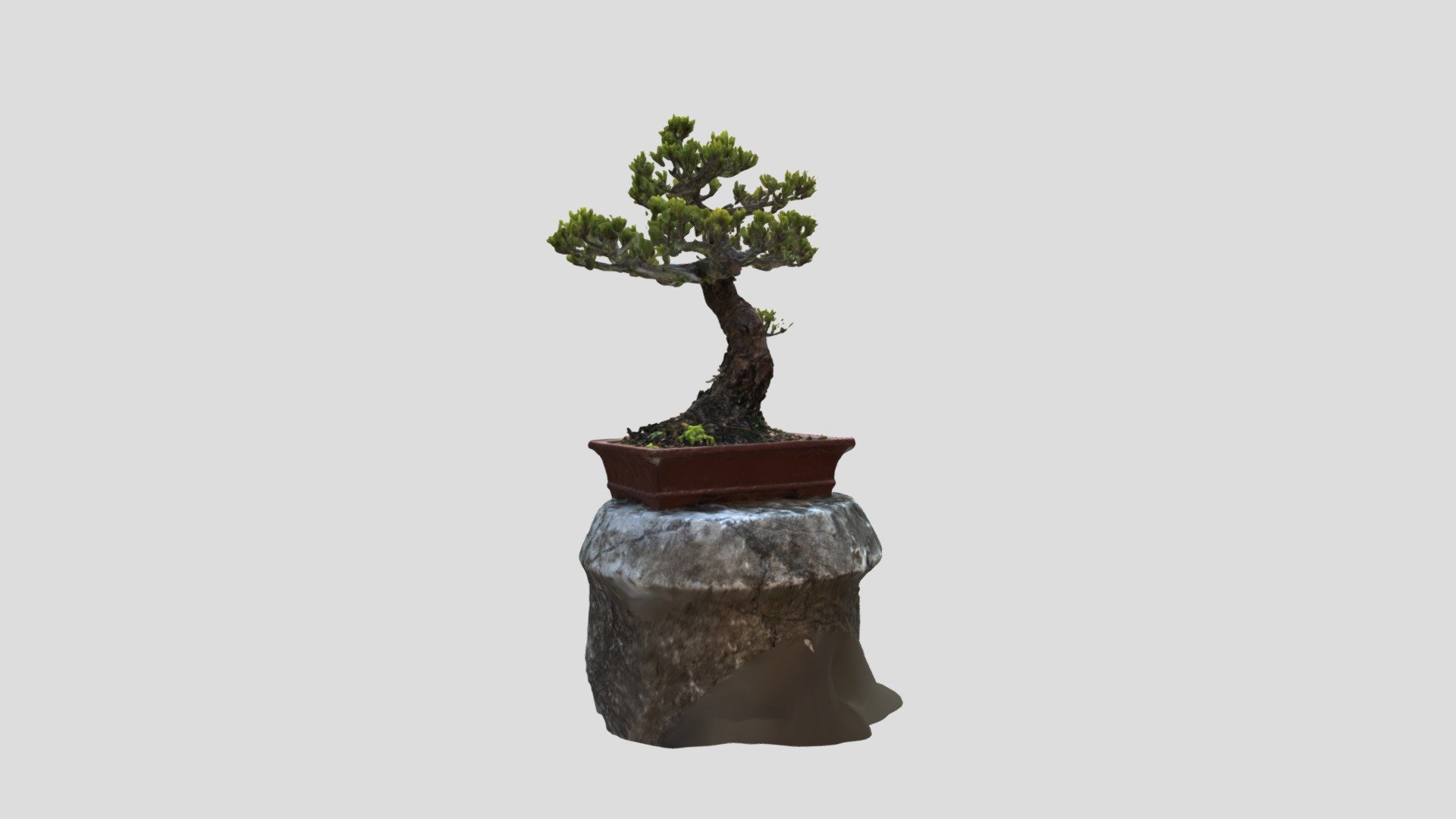 Chinese Penjing #2 by He Jianglong - Download Free 3D model by yufeng ...