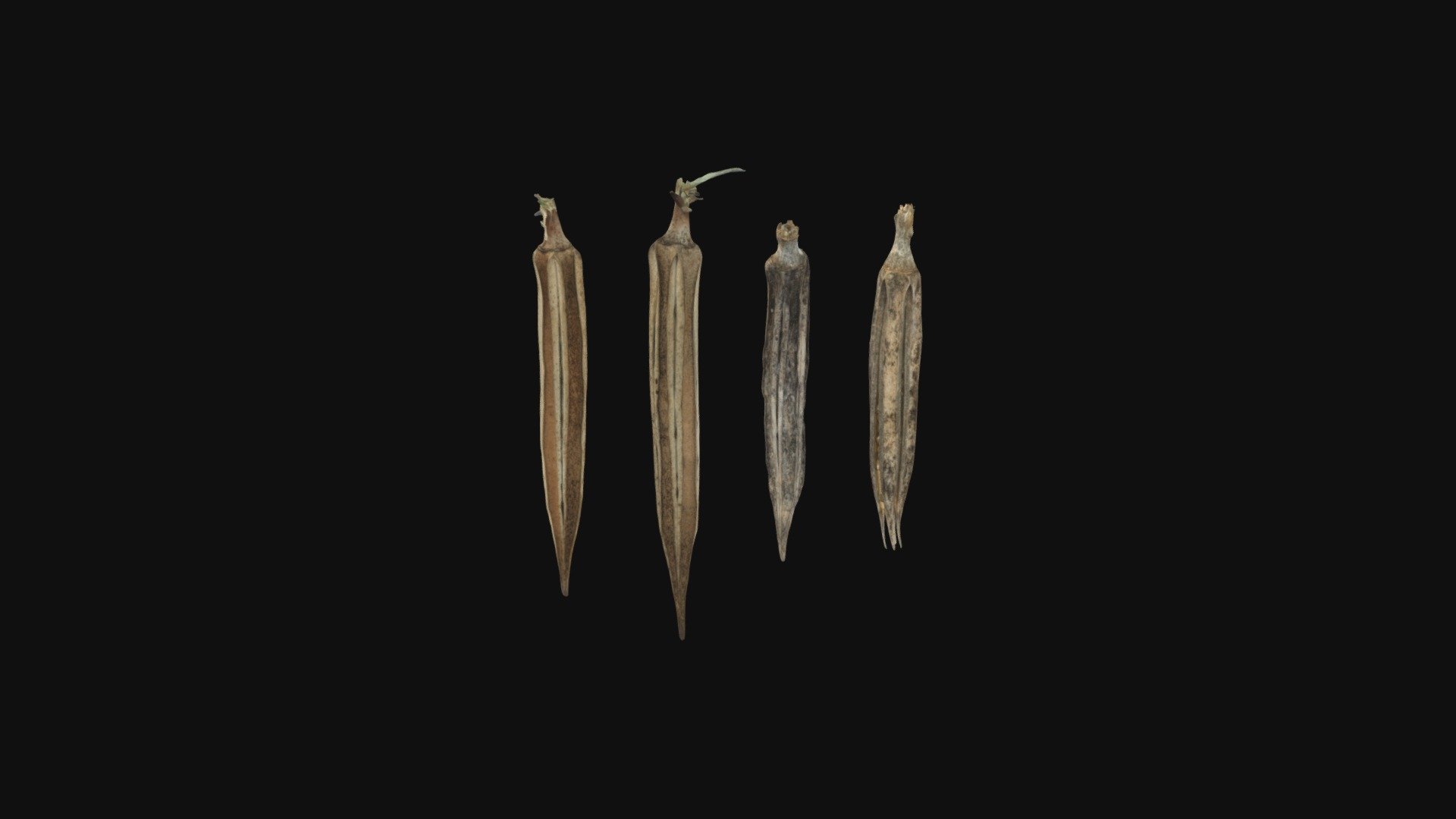 Overripe Okra-4in1 - Download Free 3D model by Andykk (@andykwok91011 ...