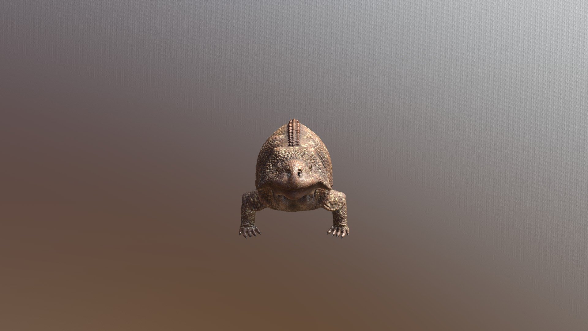 Bradysaurus - 3D model by anthodon [8d107b4] - Sketchfab