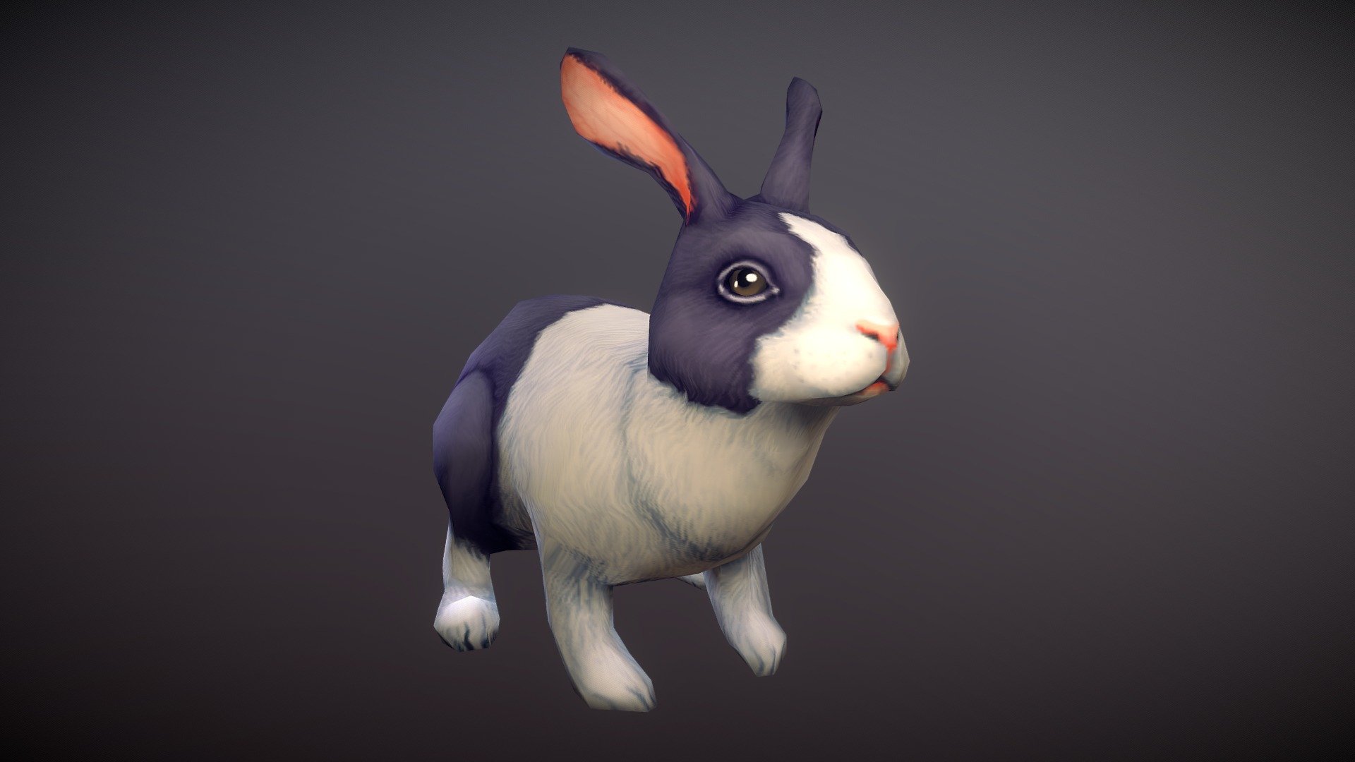 Rabbit - 3D model by Victoria Jeffrey (@VictoriaJeffrey) [8d115b8 ...
