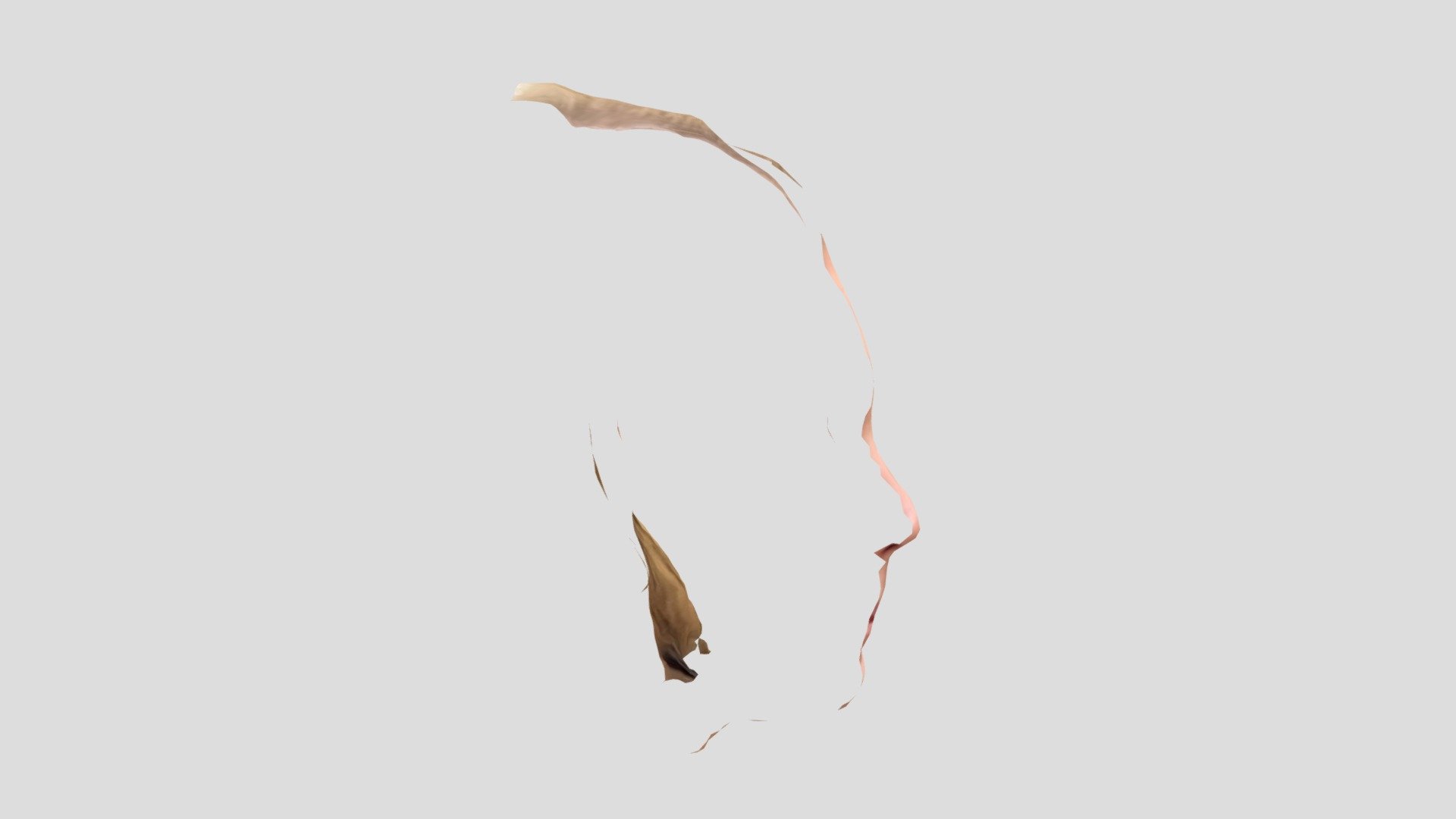 Julia Face - Download Free 3D model by CMil24 [8d17c05] - Sketchfab