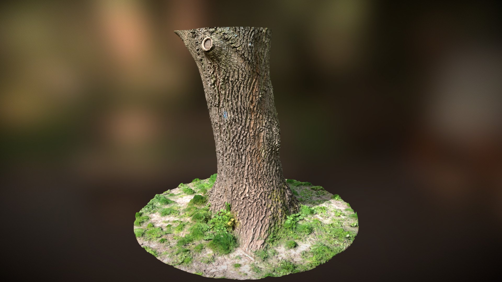 3D Scan | Oak Tree Trunk - 3D model by Bodo Schütze (@bodoschuetze ...