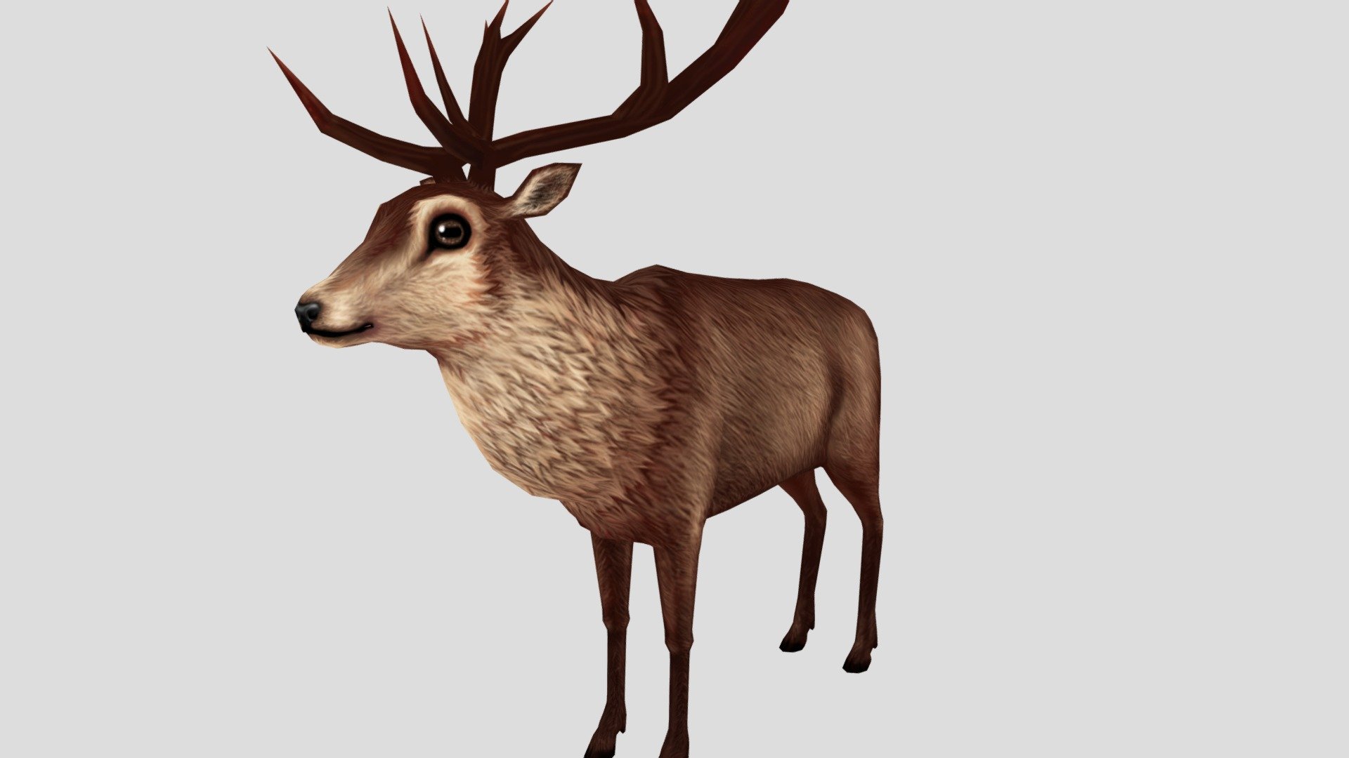 Low Poly Red Deer / Lowpoly Hirsch - 3D model by PhiliaPhilis [8d1d0ad ...