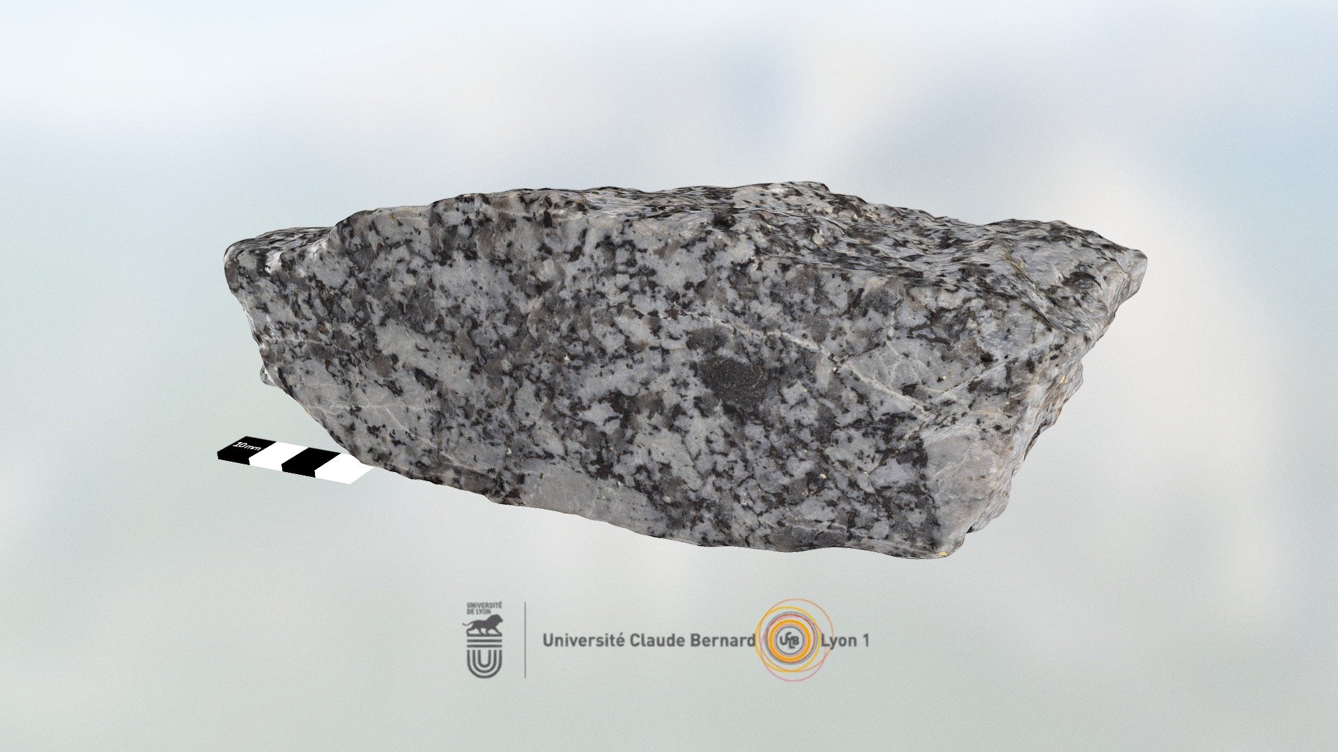 Coarse-grained porphyroid biotitic granite - 3D model by OSU_Lyon1 ...