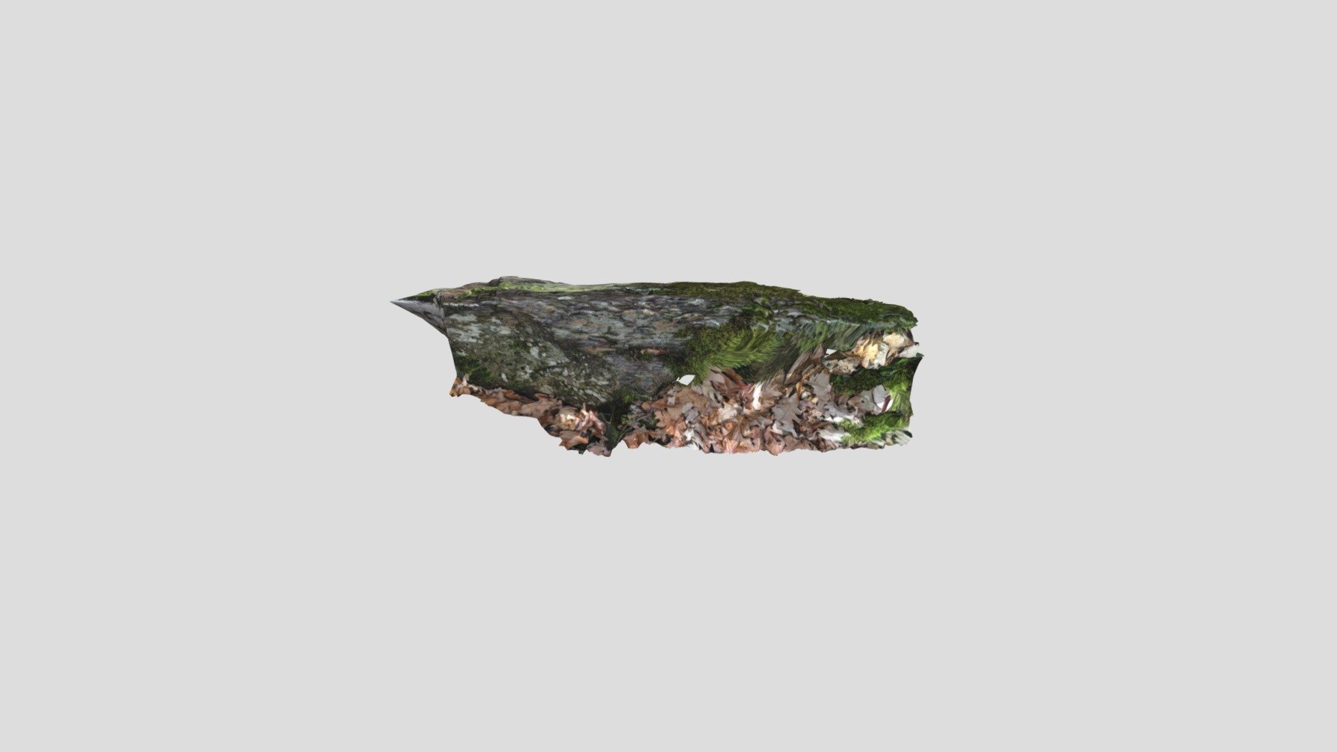 Esquisto con estaurolita - 3D model by castigar [8d27f4c] - Sketchfab