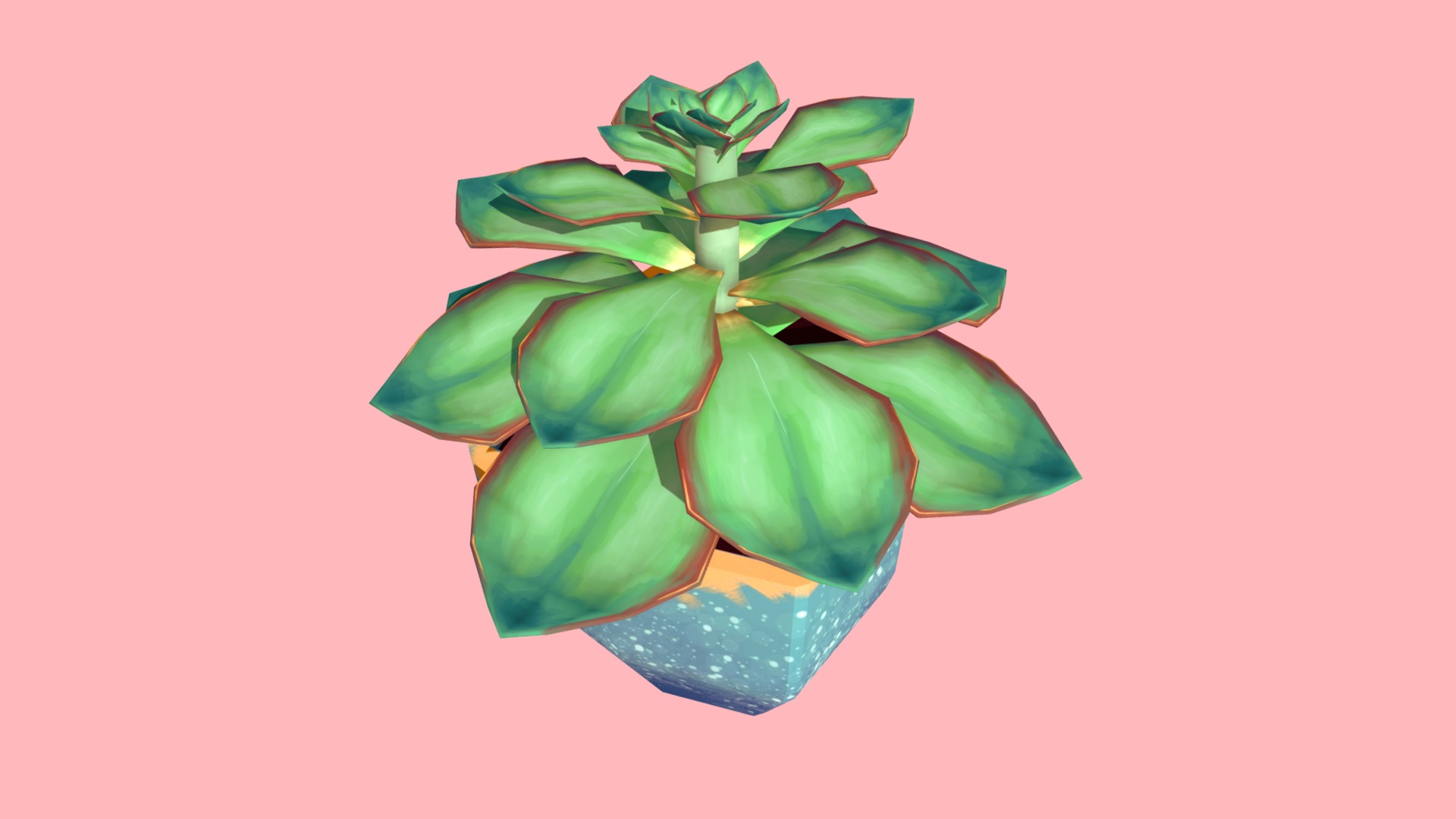 Succulent - 3D model by Finn (@jenstevenslock) [8d30cd5] - Sketchfab