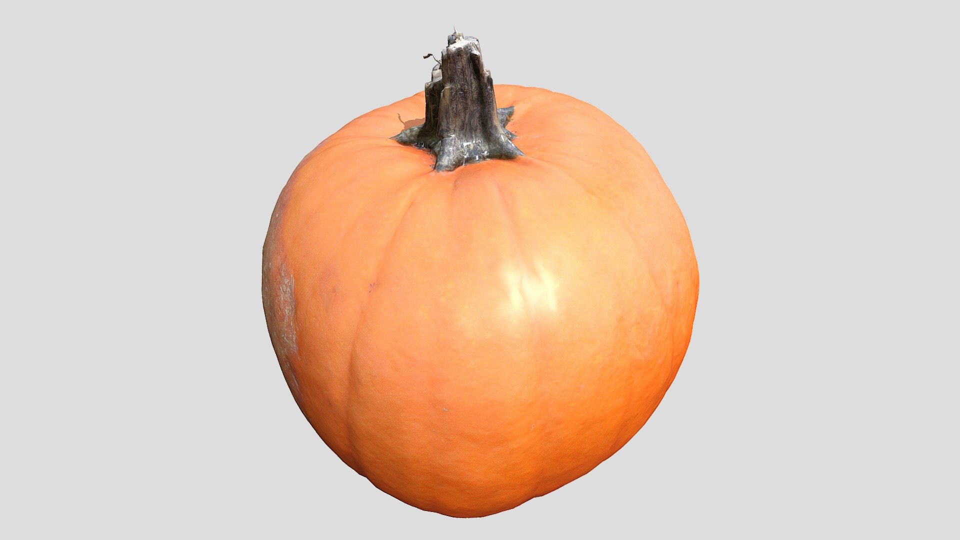 Pumkin - Download Free 3D model by xtremederpie [8d35be4] - Sketchfab