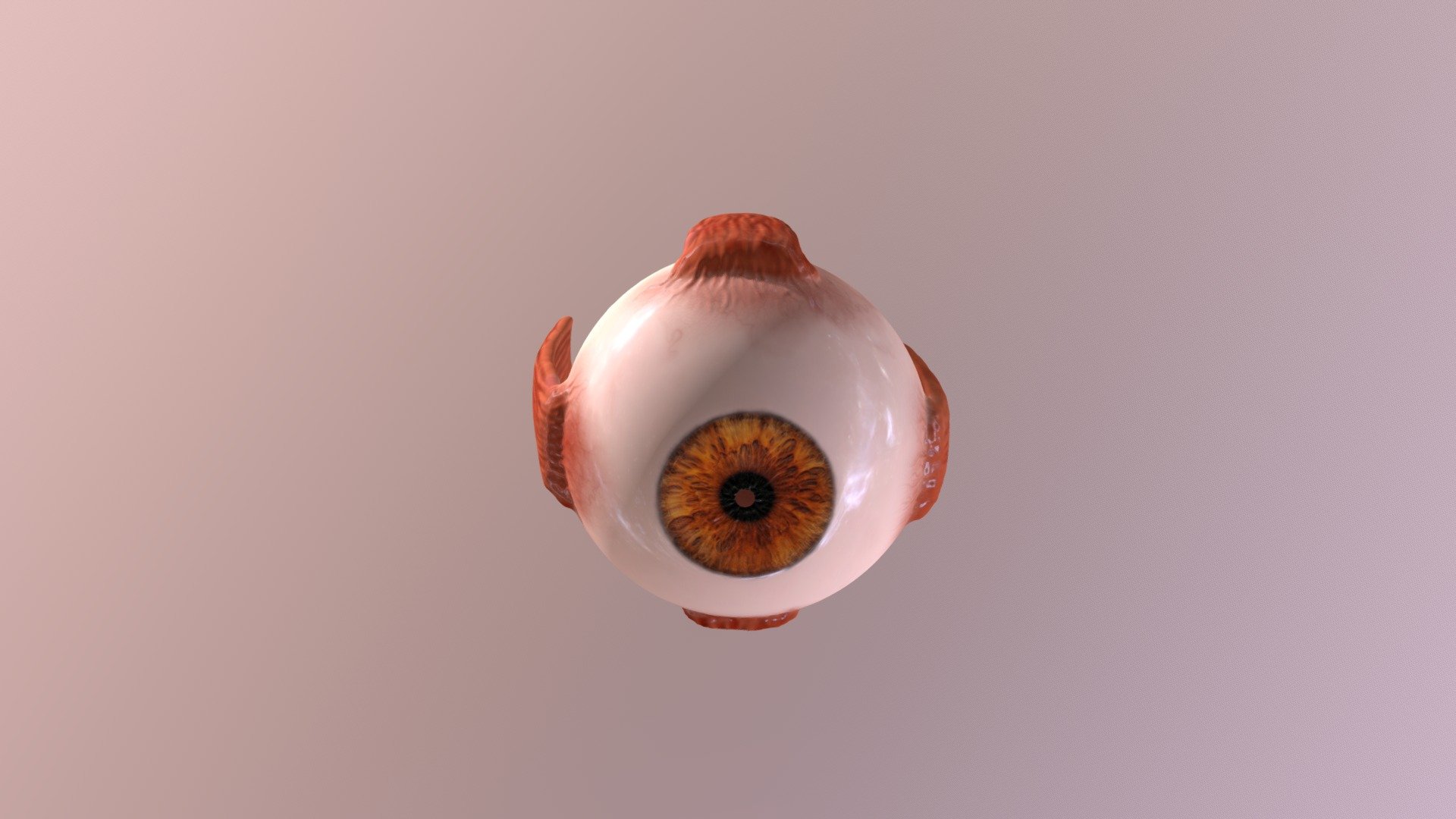 EYE - 3D model by hannaberg [8d37533] - Sketchfab