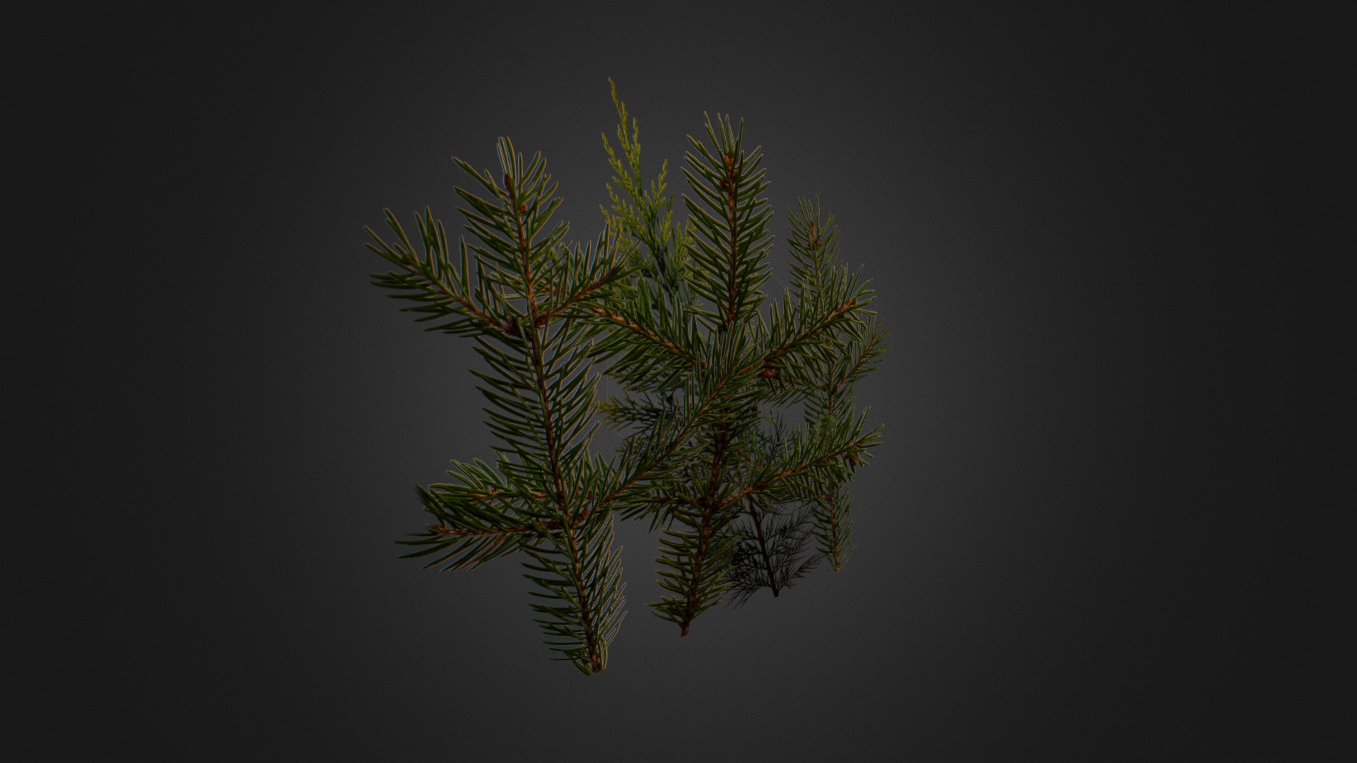 Leaves - 3D model by Anthony V. (@pantherone) [8d4f479] - Sketchfab