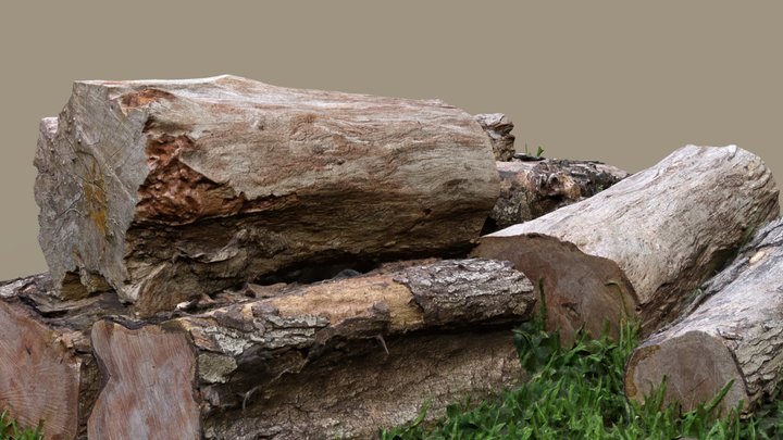 Pathway 3D models - Sketchfab