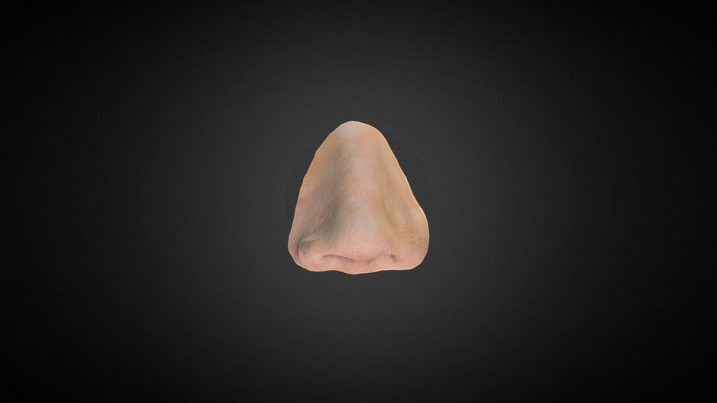 3D Nose by Zbrush - 3D model by Belal Kamel (@belal) [8d5343e] - Sketchfab