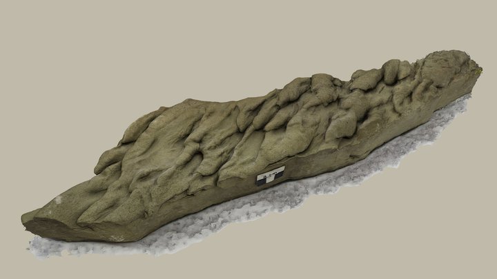 Sedimentary-structure 3D models - Sketchfab