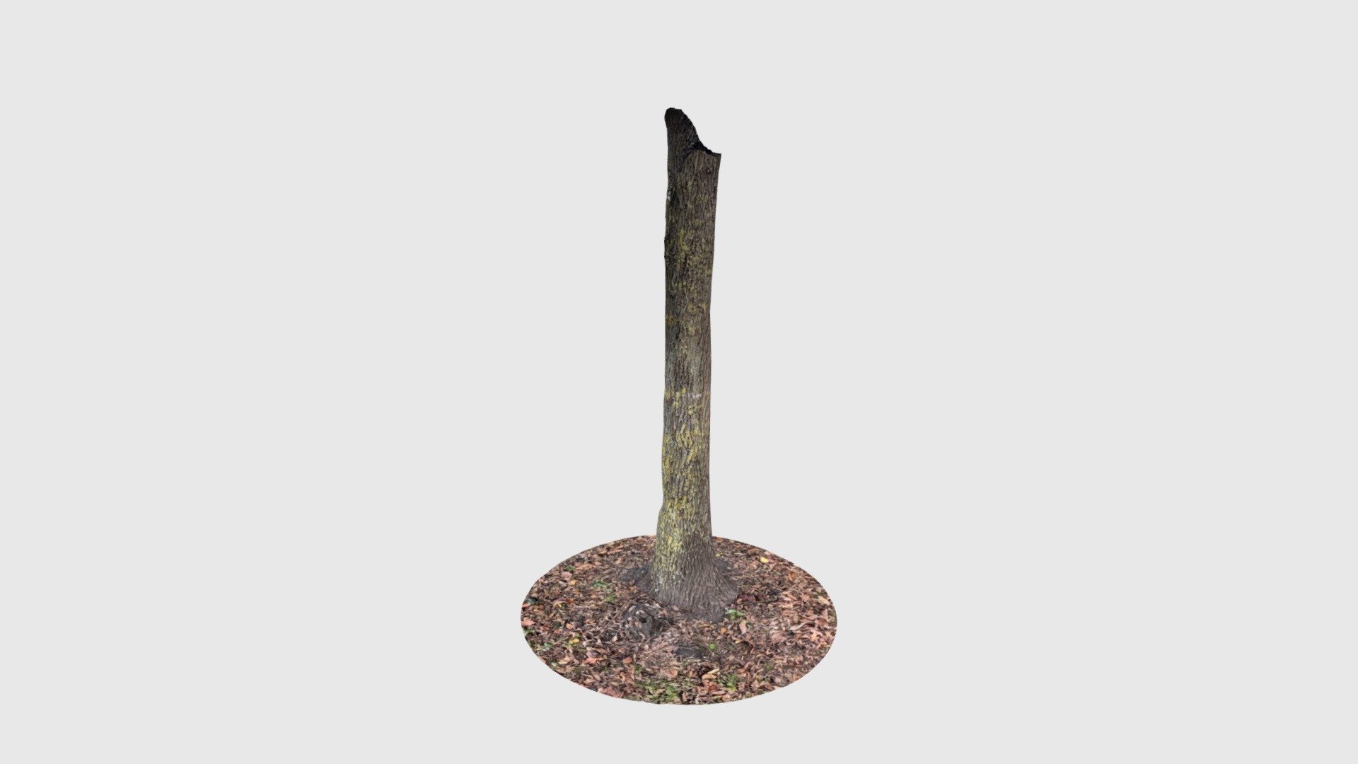 Orzech - Download Free 3D model by gwieczorek215 (@gwiec) [8d55c3c ...