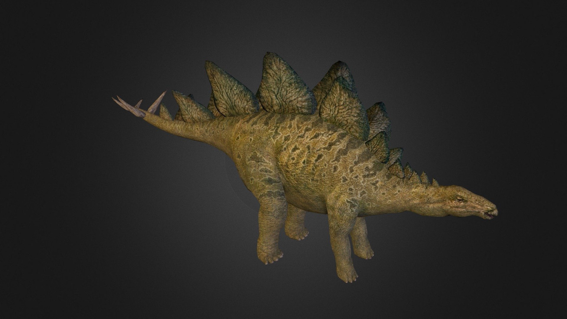 WWD Stegosaurus - 3D model by auroradesigns [8d5b1c3] - Sketchfab
