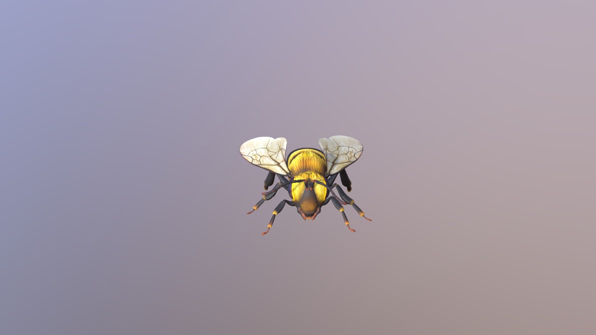 Bee - 3D model by sebyseb (@saskatoon.sebastian) [8d6a43a] - Sketchfab