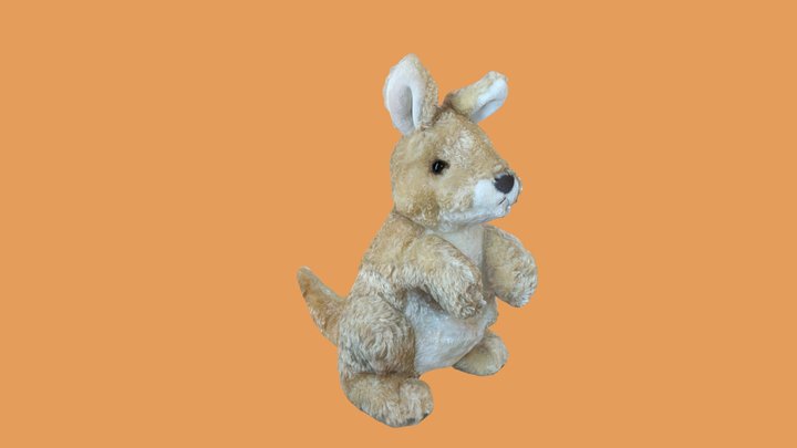 Kangaroo 3D models - Sketchfab