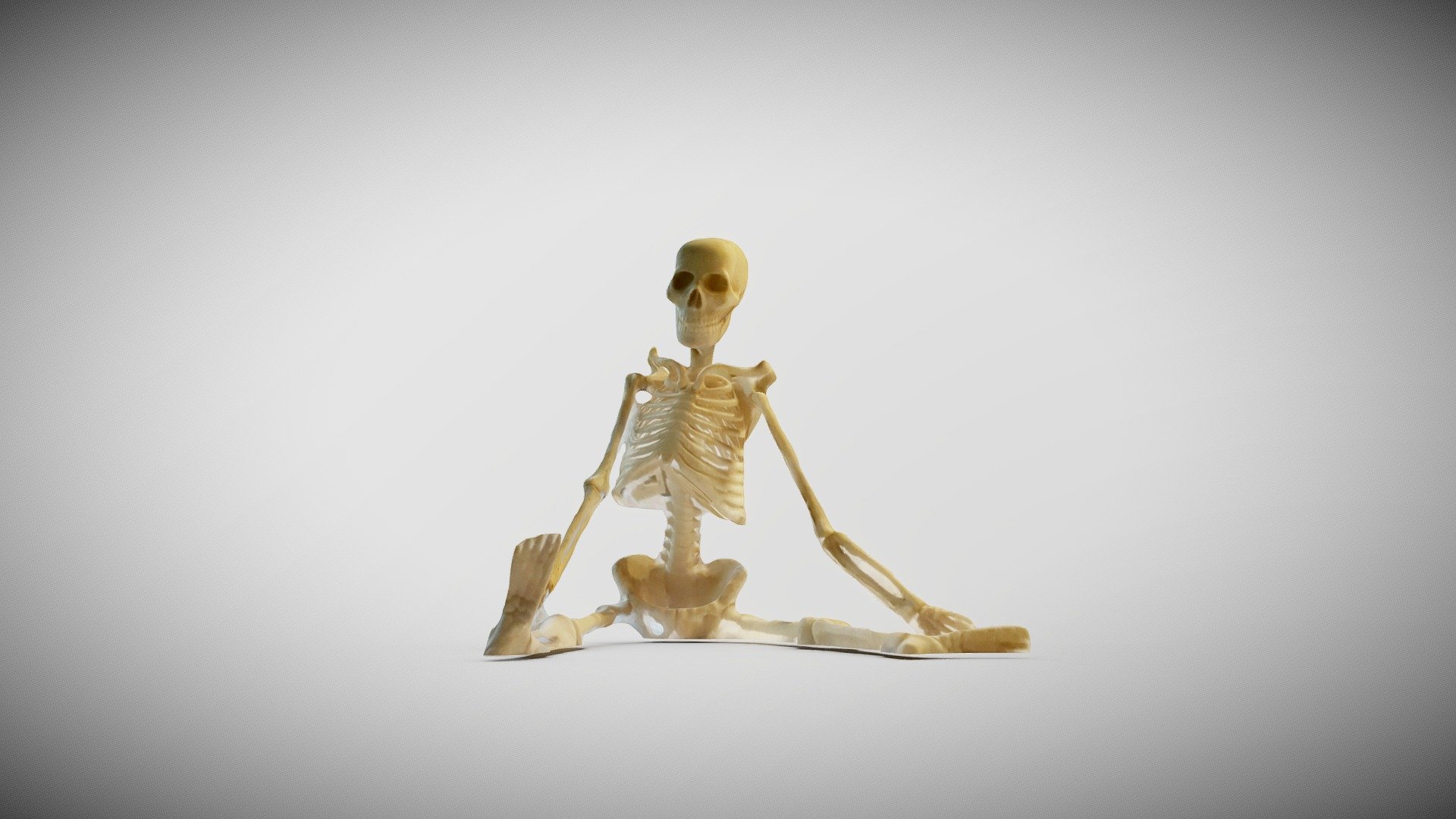 3d scan of a skeleton - 3D model by mrfunnysheep [8d70806] - Sketchfab