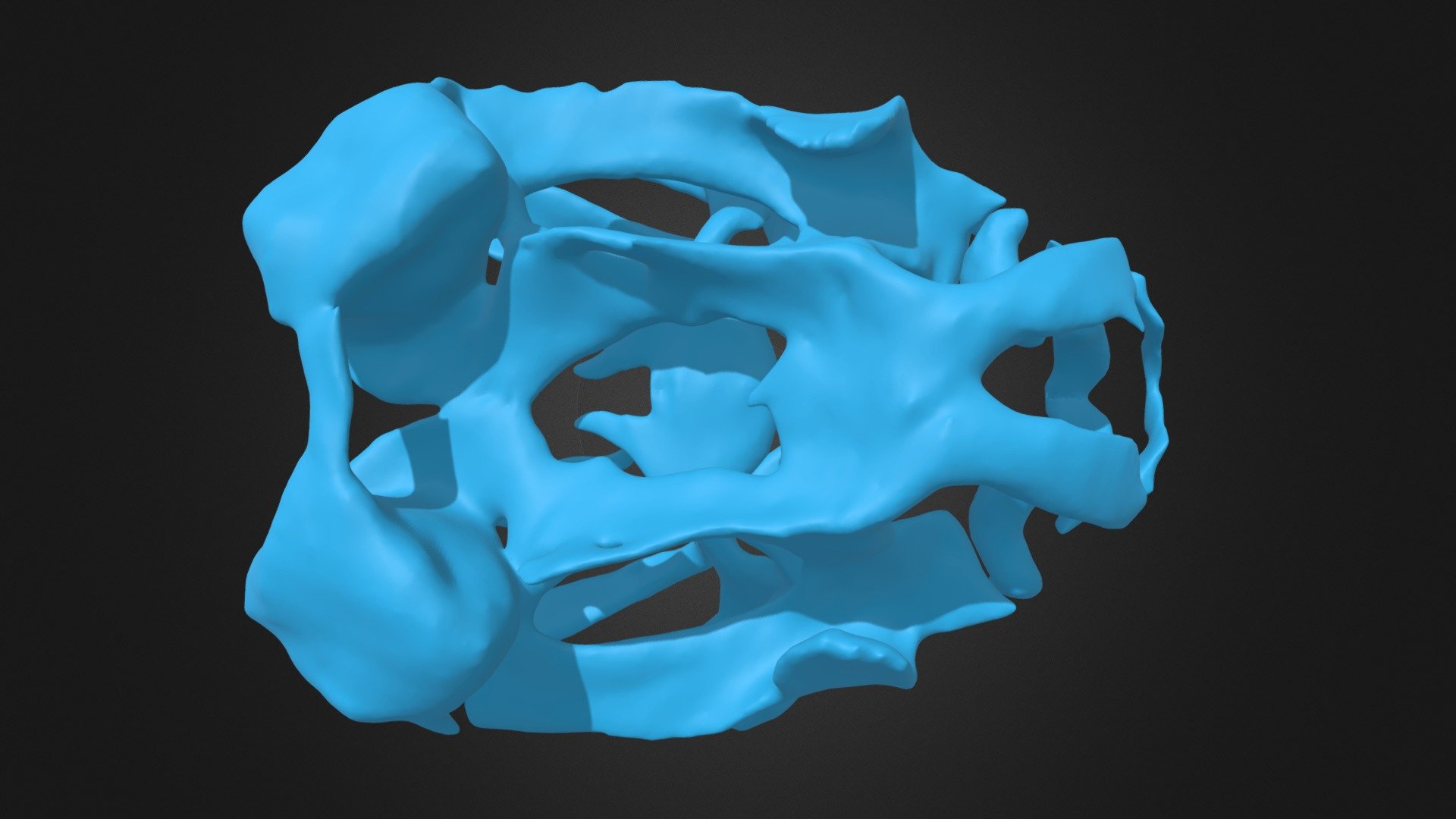 Smilisca phaeota (Masked tree frog) larval skull - 3D model by Paul ...
