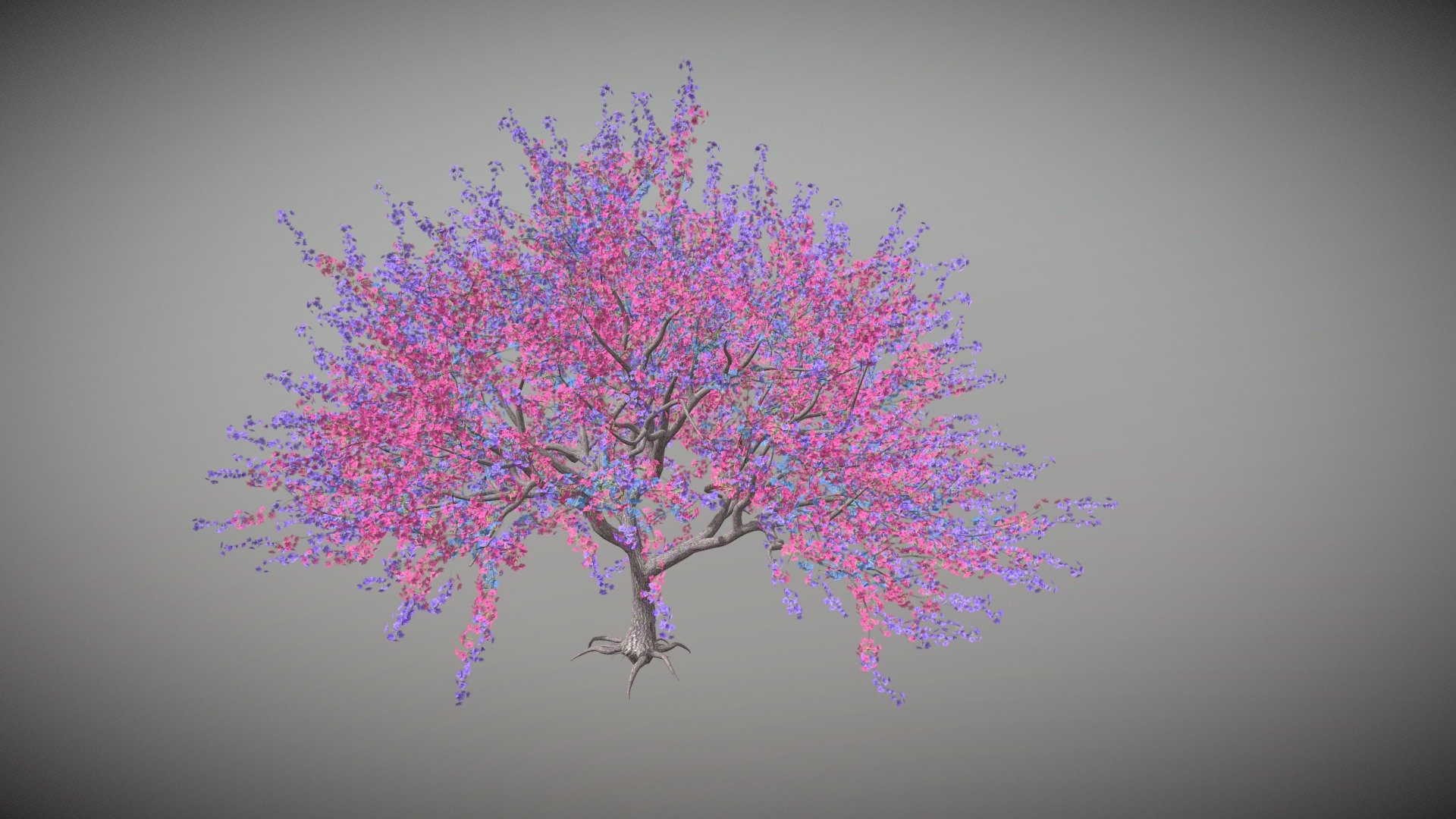 Jacaranda Tree - Buy Royalty Free 3D model by Bilal Creation Production ...