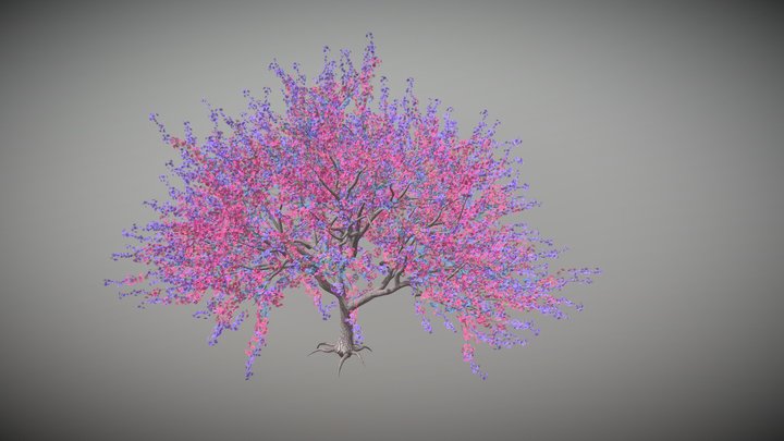 Jacaranda 3D models - Sketchfab