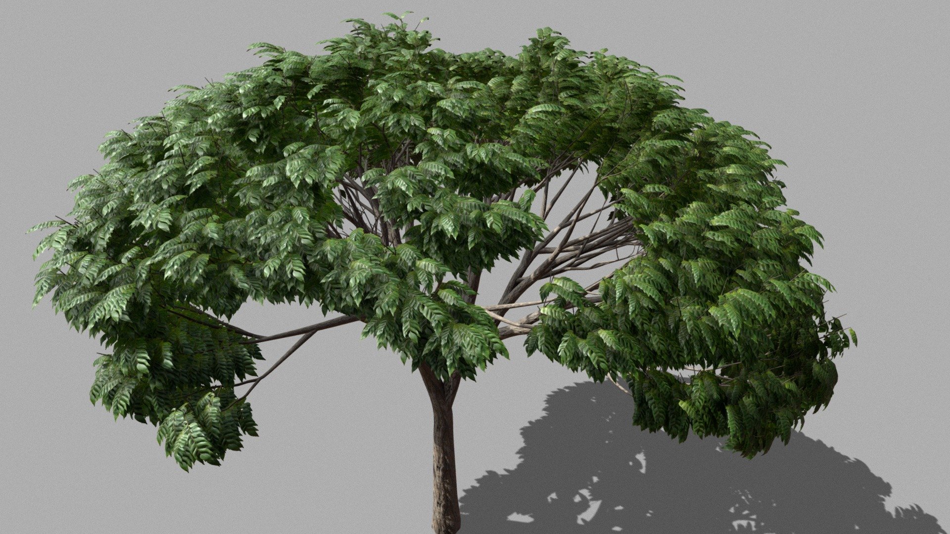 Realistic Jungle Tree (Avatar) - Download Free 3D model by Garecra ...