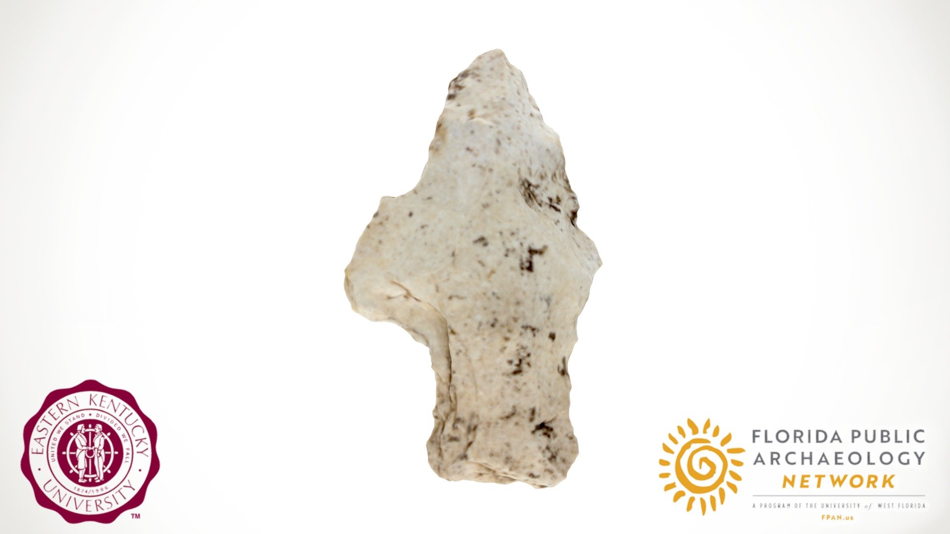 Archaic Stemmed Point, Tomoka Mound and Middens - 3D model by Florida ...