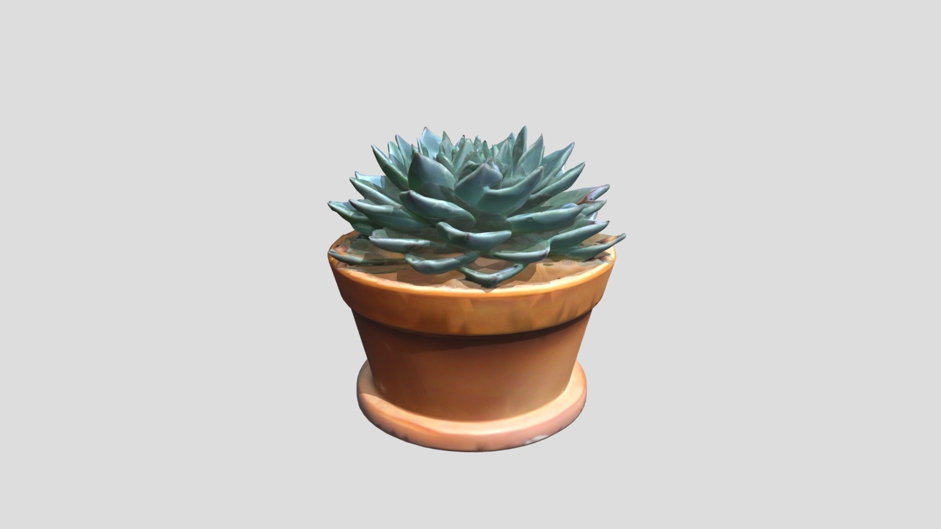 Succulent Radiance - 3D model by andikkp21 [8d84959] - Sketchfab