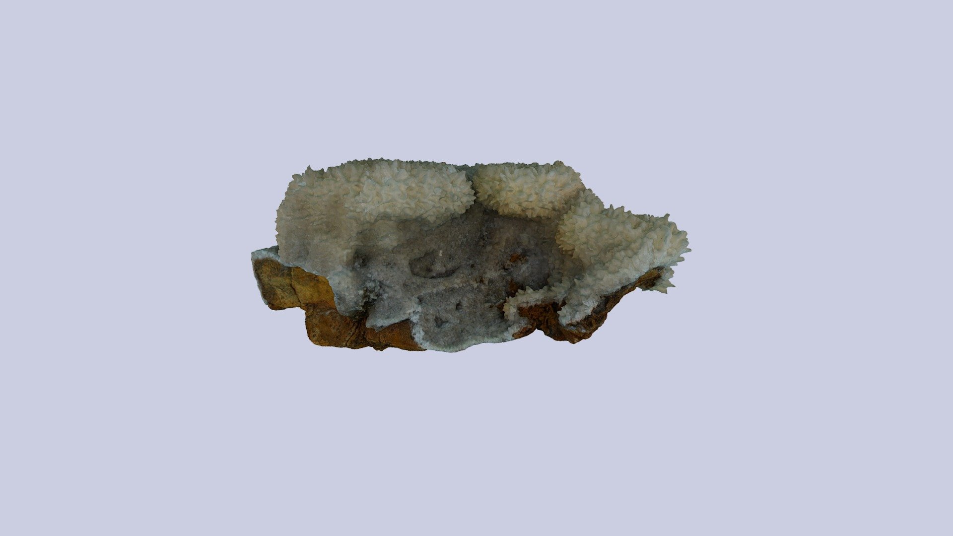 Aragonite - 3D model by Hong Kong Science Museum (@hkscm) [8d853cd ...