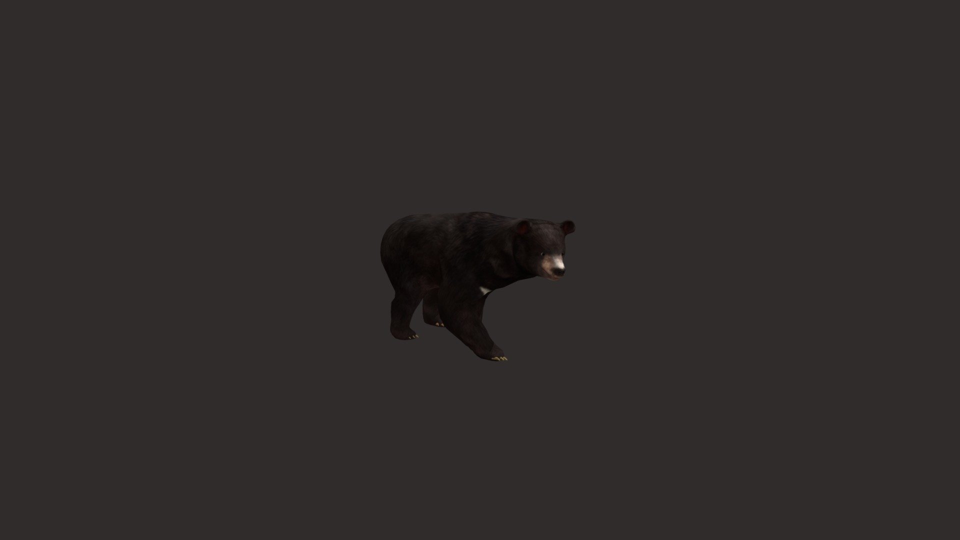 bear_digging - 3D model by sixuan [8d865fa] - Sketchfab