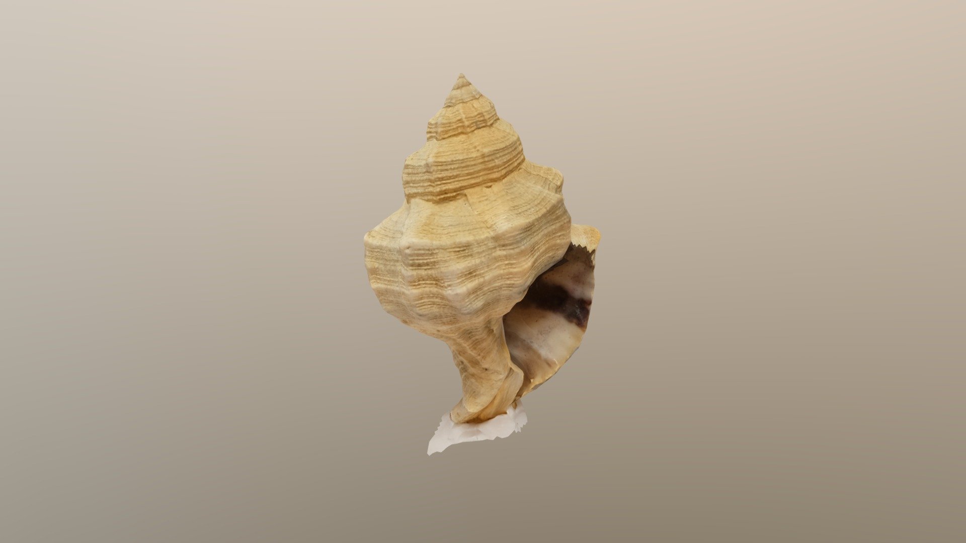 My cool 3D model - 3D model by helenavieira [8d8cb65] - Sketchfab