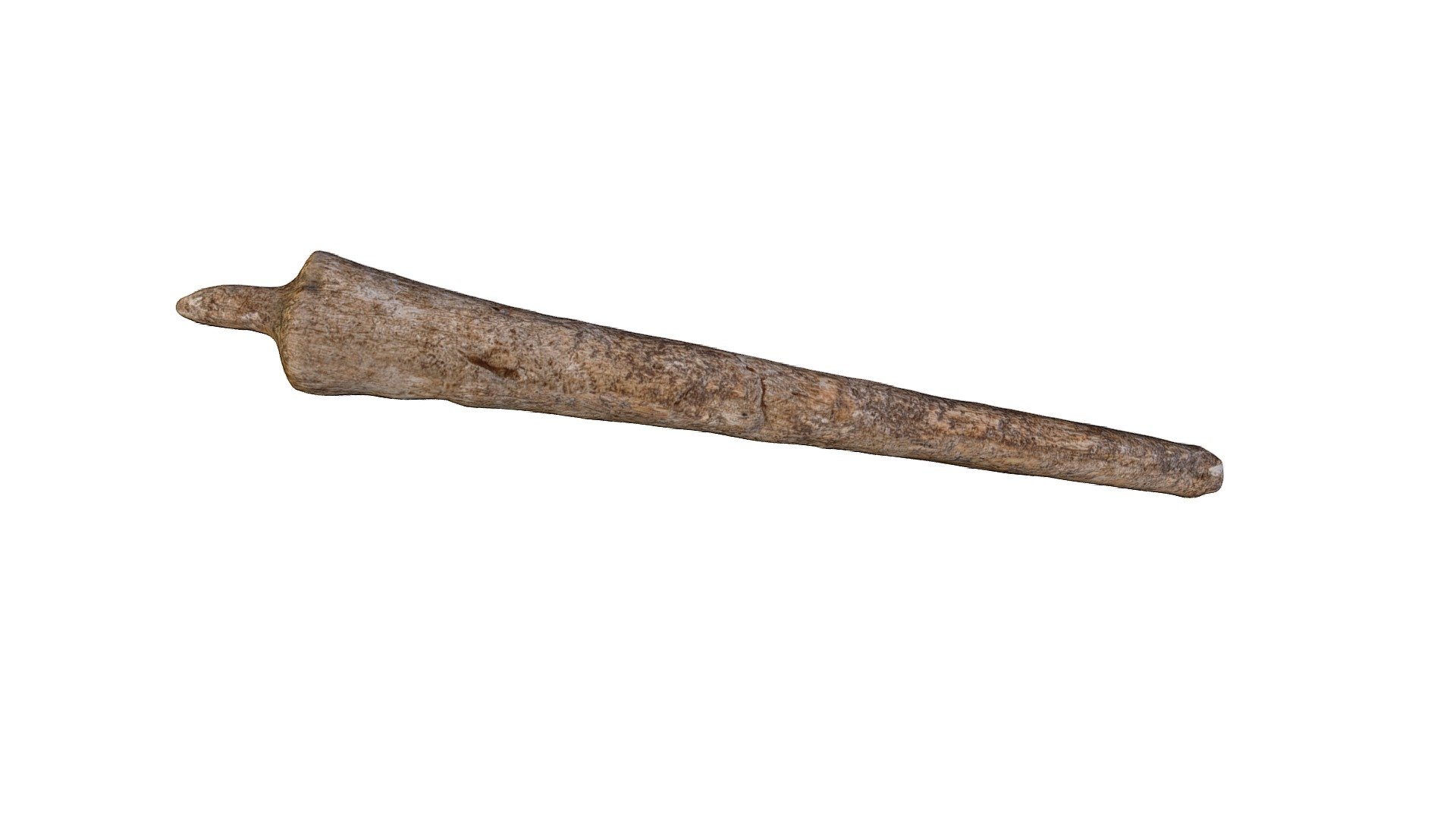 Bone Pin Artifact - 3D model by University of South Florida Libraries ...