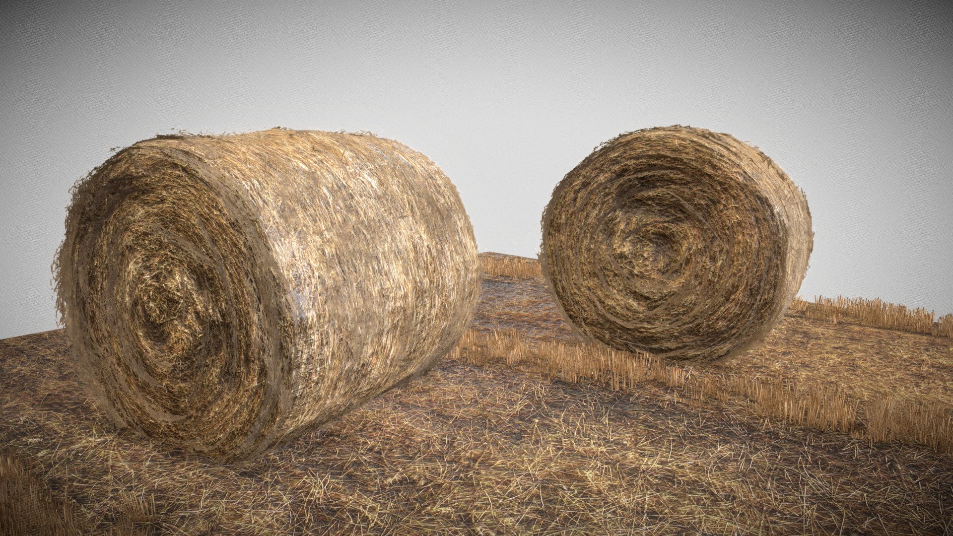 Round Hay Bales - 3D model by DC Computer Graphics (@DC-CompuerGraphics ...