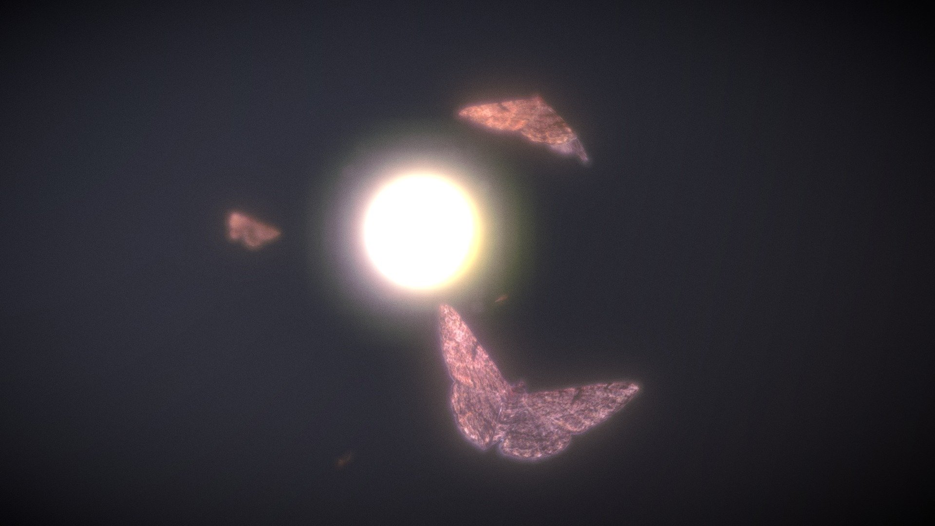 🦋 moths fluttering around a light source 🦋 - Download Free 3D model by ...