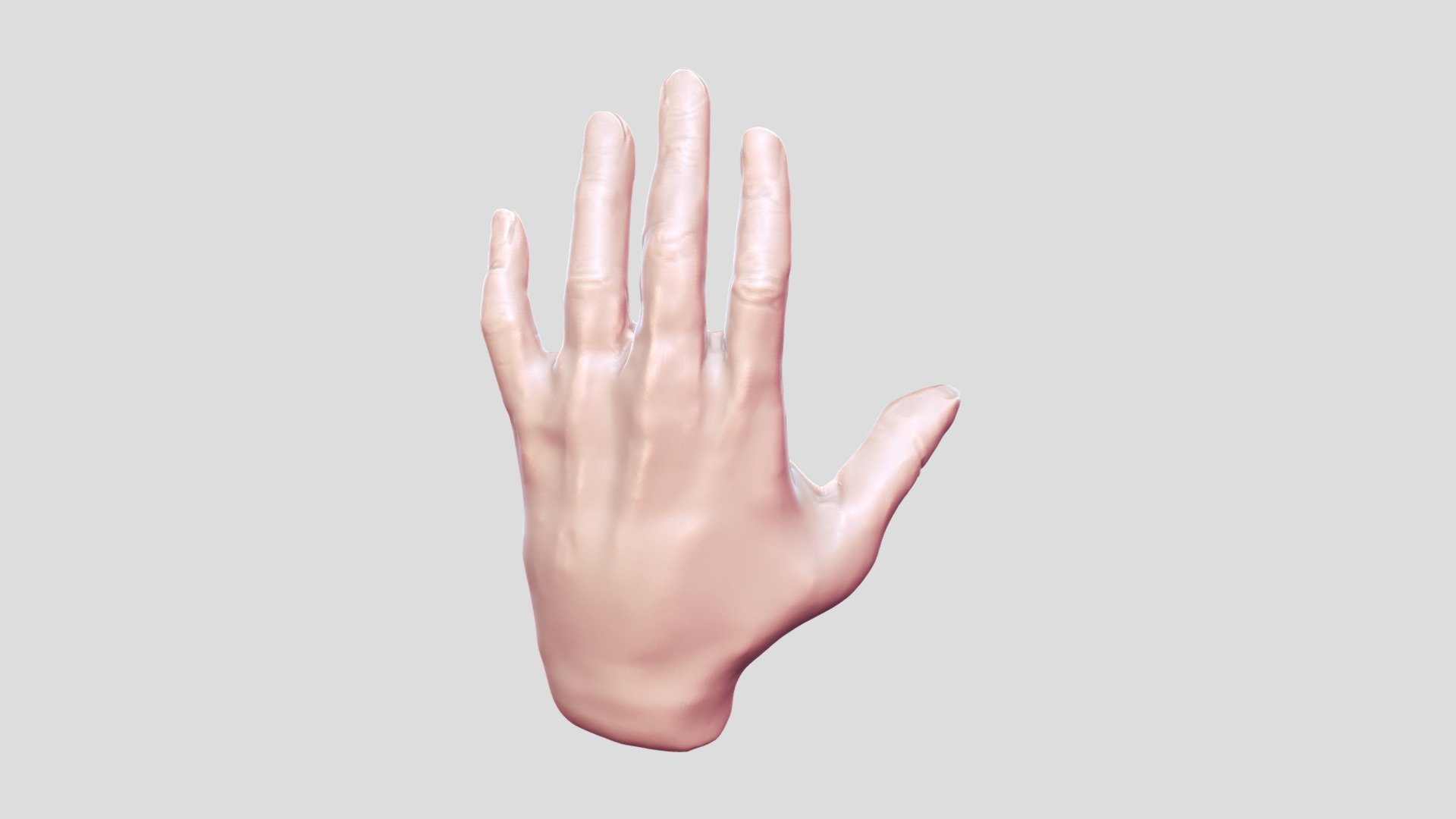 Hand sculpt no. 1 - Download Free 3D model by sbl (@shaul) [8d98ad6 ...