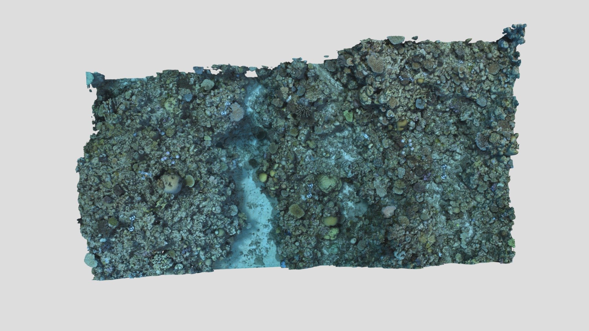Davies_FR1S_P2_202201 - 3D model by EcoRRAP (@AIMSEcoRRAP) [8d9e763 ...