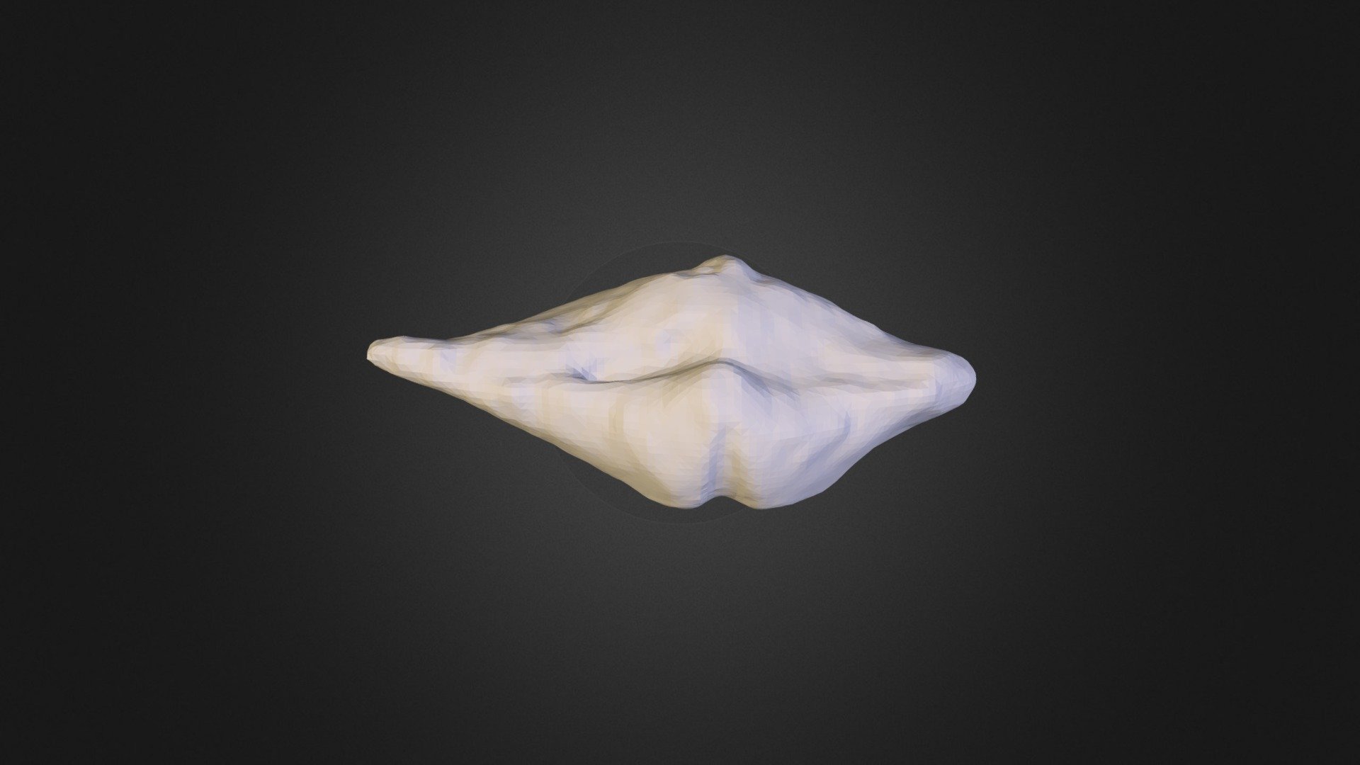 Spiriferid brachiopod - 3D model by 3dindustries [8db1016] - Sketchfab