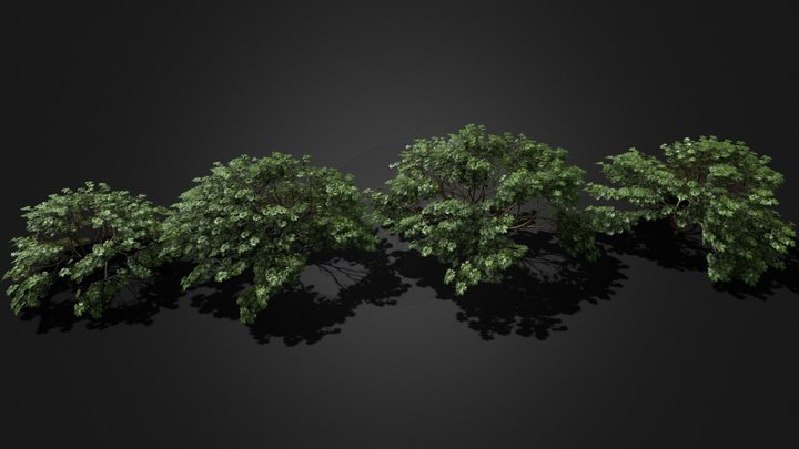Bushes 3D models - Sketchfab
