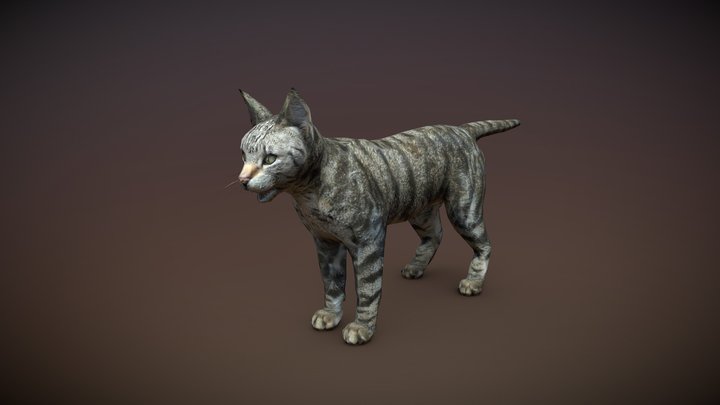 Khajiit 3D models - Sketchfab