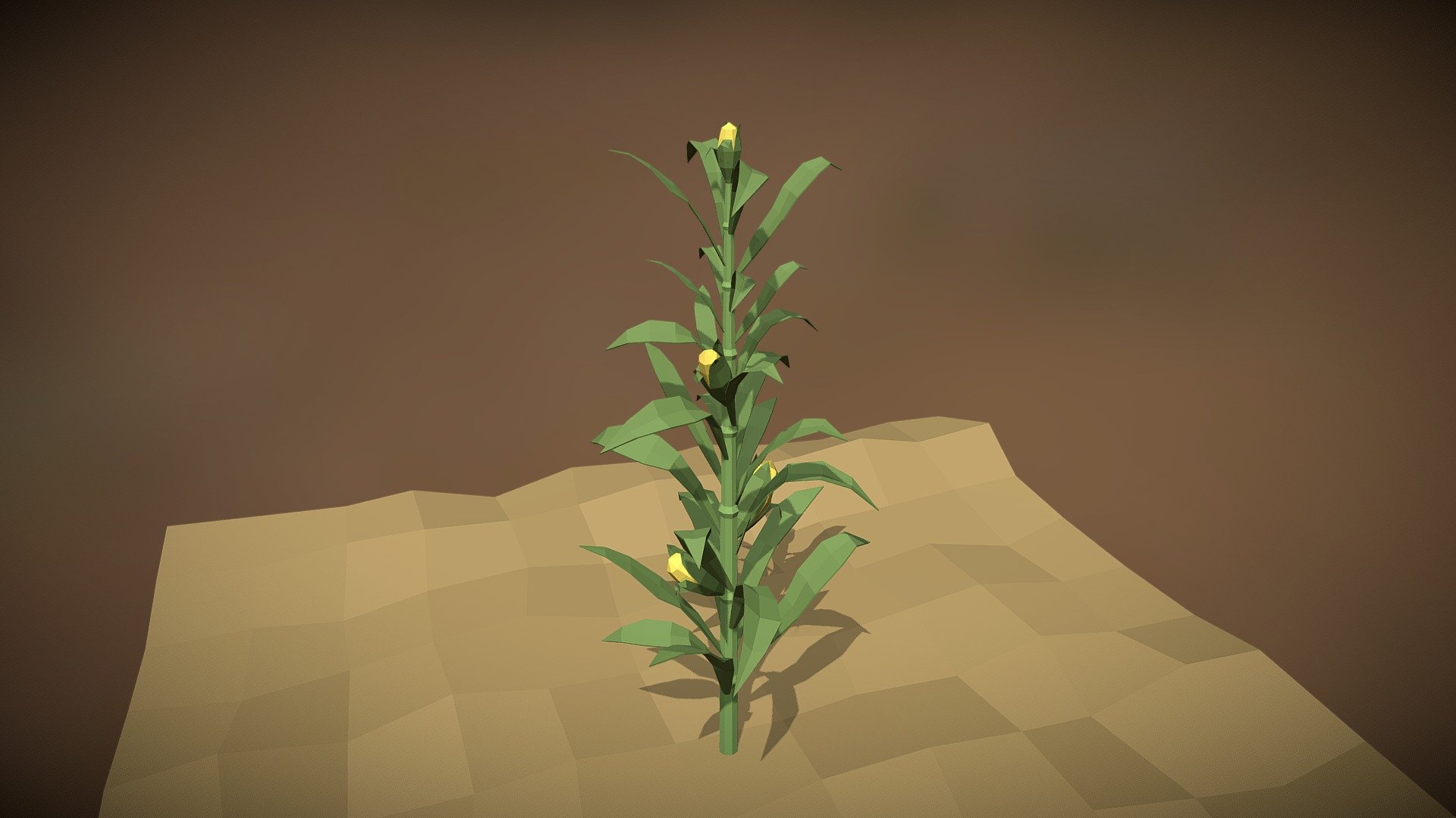 Low Poly Corn - 3D model by mrgyarmati [8dd1af3] - Sketchfab