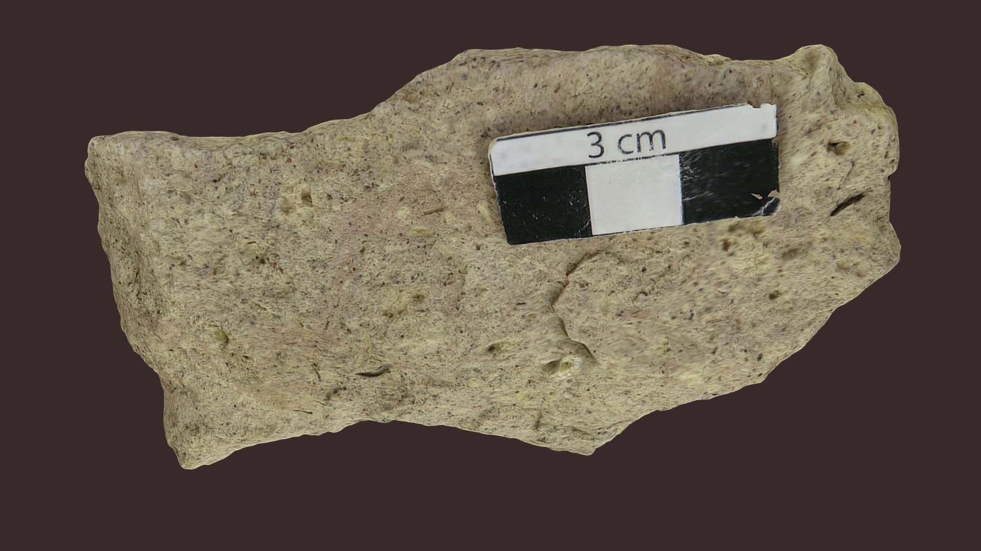 Altered calcarenite, Spain - Download Free 3D model by Sara Carena ...